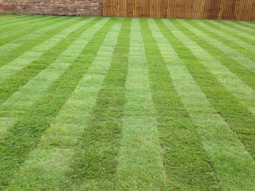 Greenways Turf & Top Soil - Top Quality Turf & Top Soil - Gallery