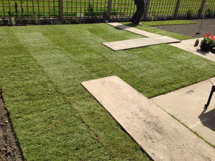 Greenways Turf & Top Soil - Top Quality Turf & Top Soil - Gallery